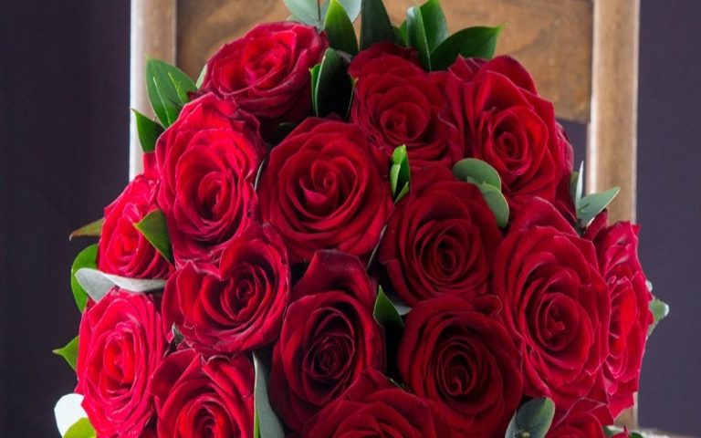 Rose Name Meaning: A Timeless Symbol of Love and Beauty